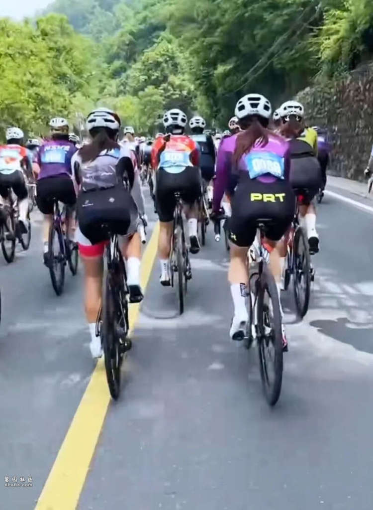 年入2000亿!狂闯红灯的网红式骑行 越骂越吸金 -6parkbbs.com